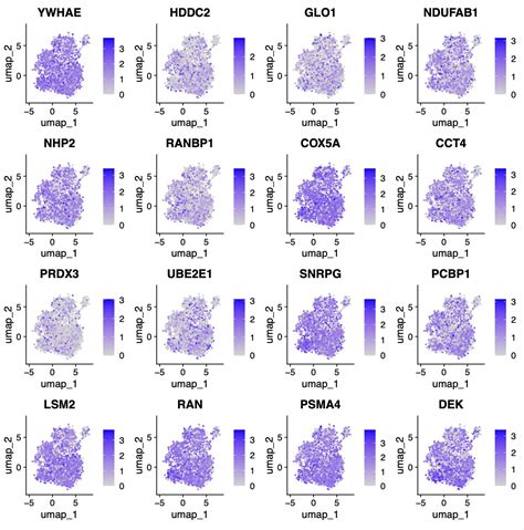 Issue With Running AddModuleScore In Seurat V5 Issue 7536 Satijalab Seurat GitHub
