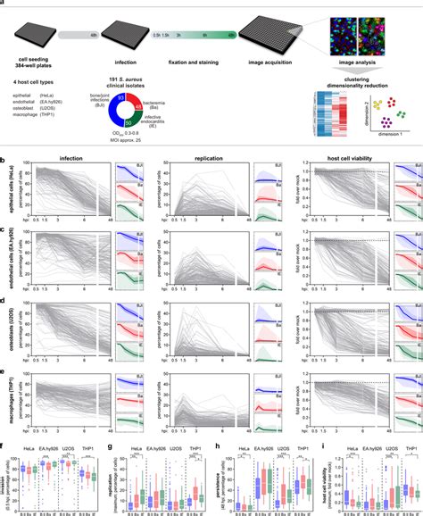 Multiparametric Analysis Reveals That S Aureus Clinical Isolates