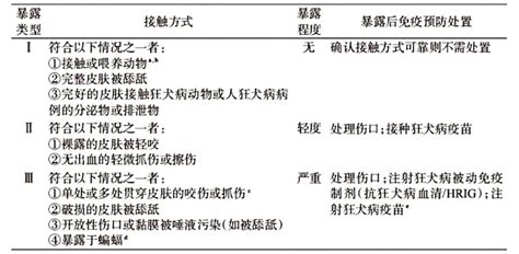 了解狂犬病的基本知识 哔哩哔哩