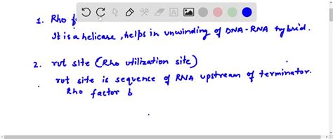 Solved A Bacterial Mrna Molecule Contains A Stem Loop Structure