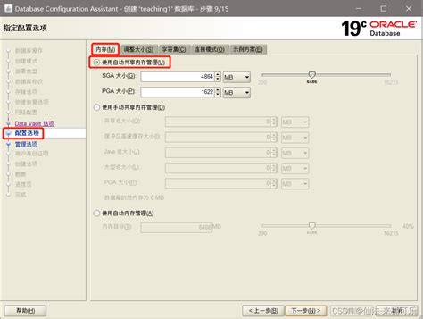 利用dbca创建一个数据库(oracle 19c)dbca创建数据库 Csdn博客 利用dbca创建一个数据库(oracle 19c)dbca创建数据库 Csdn博客