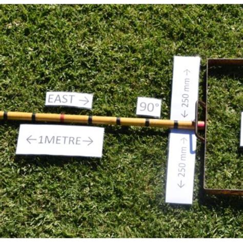 Illustration Of The Method Used To Position The Quadrat Relative To