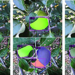 Comparison Of Detection And Segmentation Results Of Four Methods A Download Scientific