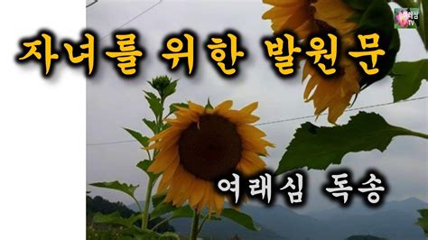 자녀를 위한 발원문발원문 광명진언 신묘장구대다라니여래심 독송 Youtube