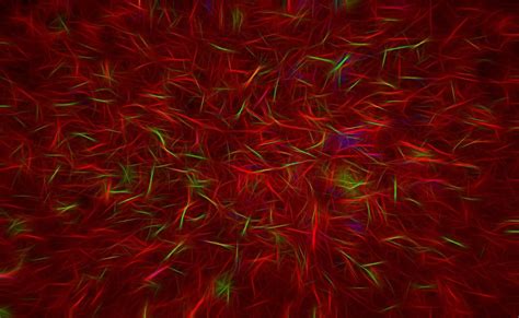 Data Annotation Tech Reddit A Must Read Comprehensive Guide