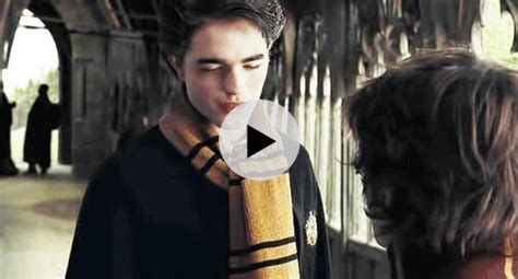 해리포터 호감 캐릭터 치지직 에펨코리아