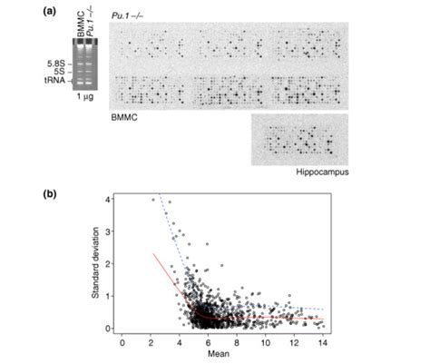 Design And Reproducibility Of Microarrays A Examples Of Microarrays Download Scientific