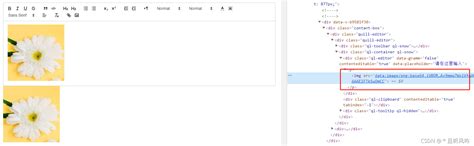 Vue Quill Editor 图片上传处理vue Quill Editor上传图片 Csdn博客