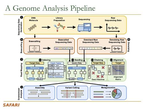 Safari Research Group On Linkedin Bioinformatics Sequencing Genomics Computationalbiology