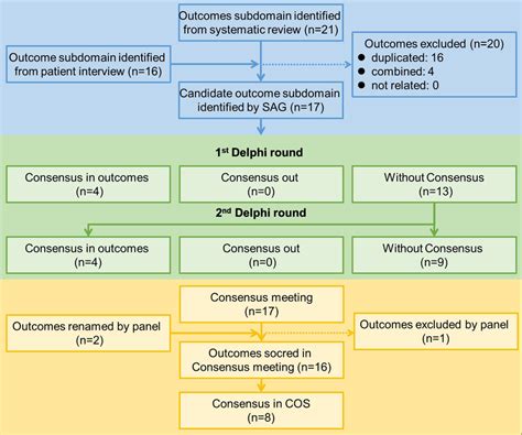 Flow Chart Of Core Outcomes Selection Process Cos Core Outcome Set Download Scientific