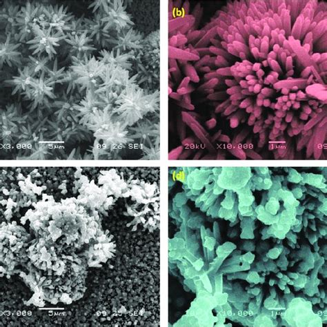 A And B SEM Images Of TiO C And D Bi Se TiO Download Scientific Diagram