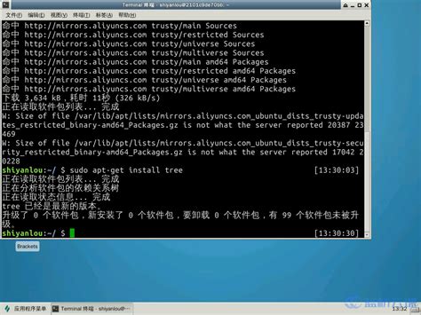 linux 目录结构及文件基本操作 蓝桥云课