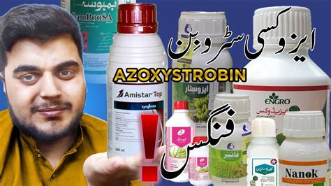 Azoxystrobin 23 Sc Full Information Qoi Fungicide Chemistry Mode Of Action Youtube