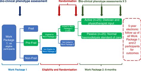 Flowchart Of Participants In FITNESS Work Packages And As Part Of Download Scientific