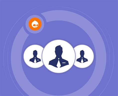 Hire Dedicated Drupal Developer In India Hire Drupal Programmers