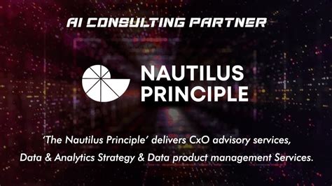 The Importance Of Robust Data And Architecture In Machine Learning Models