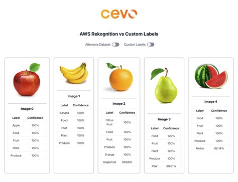 Accelerate Ml Application Development In Aws Cevo
