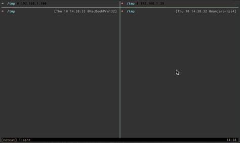 tcp ip 瑞士军刀 netcat 篇一 湿科技