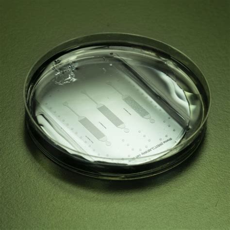 Squishing The Barriers Of Physics Rit