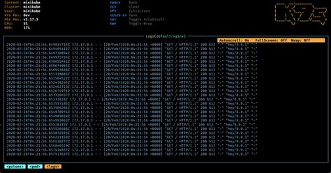How To Make Cli Server Logs With Actions Rgolang