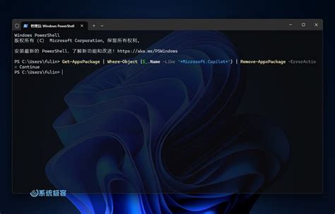 Windows 11：如何轻松安装或卸载 Copilot 应用（多种方法） Csdn博客