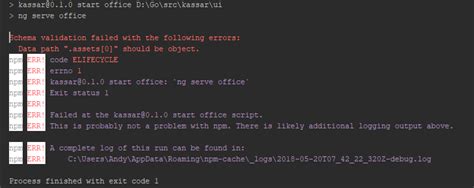 Second App Error Schema Validation Failed Data Path Assets 0