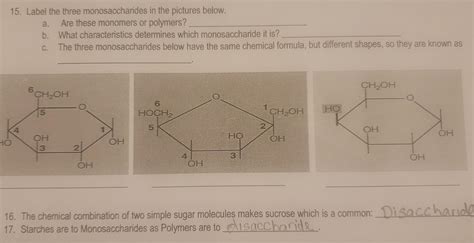Solved 15 Label The Three Monosaccharides In The Pictures
