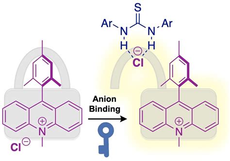 Unlocking Photocatalytic Activity Of Acridinium Salts By Anion‐binding