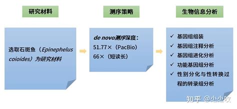 Mer 斜带石斑鱼基因组揭示雌雄同体鱼的性别分化和性逆转机制 知乎