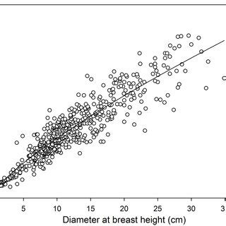 Relationship Between Mean Tree Height And Diameter At Breast Height In Download Scientific