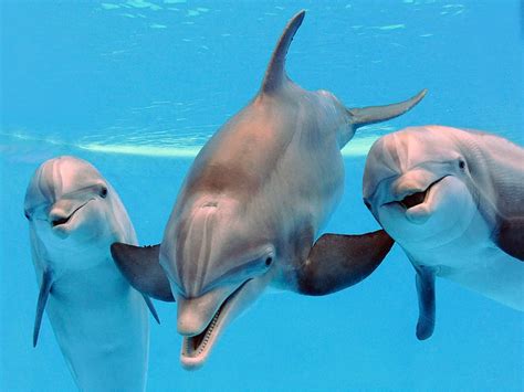 Building A Calendar Table In Sql Open Sql Date Logic Doors For Yourself By Nick Pulvino Medium