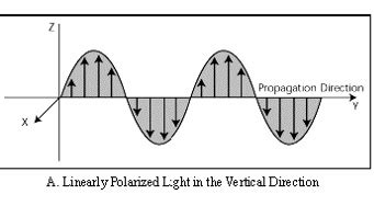 Linearly Polarized Light