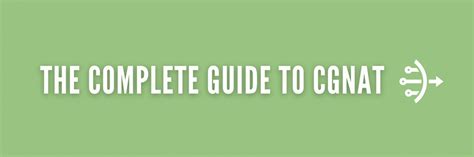 Cgnat A Complete Guide To Carrier Grade Nat [2024] — Rapidseedbox