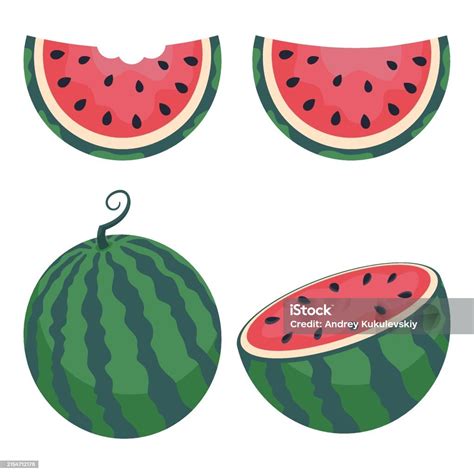수박 세트 전체 수박 슬라이스 반 수박 손으로 그린 플랫 벡터 일러스트 레이 션 0명에 대한 스톡 벡터 아트 및 기타 이미지 0명 건강한 식생활 과일 Istock