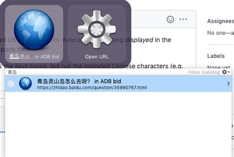 Chinese Characters Cannot Be Entered · Issue 2076 · Quicksilver