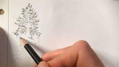 Hike And Draw How To Draw Trees FREE TUTORIAL