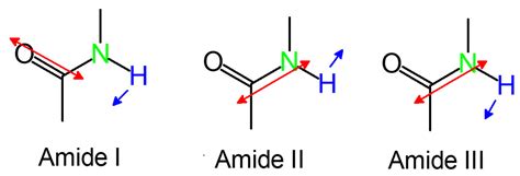 Polyaniline Hybrids With Biological Tissue And Biological Polymers As Physiological