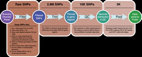 Filters And Criteria Applied To Produce The 3k Dartag Snp Panel From Download Scientific