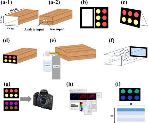 The Schematic Diagram For Colorimetric Procedure A Fabricating A