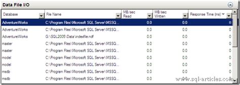 Activity Monitor Sql Articles