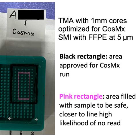 Ffpe Tissue Microarray Protocol