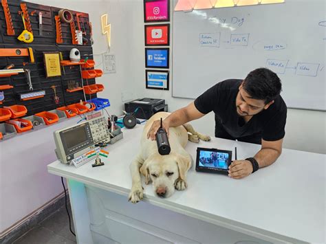 Color Sorter Using Arduino M Tech B Tech Engineering Projects Thesis Research Help In New