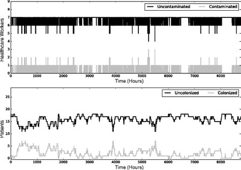 A Single Stochastic Realization Of A Mathematical Model Of