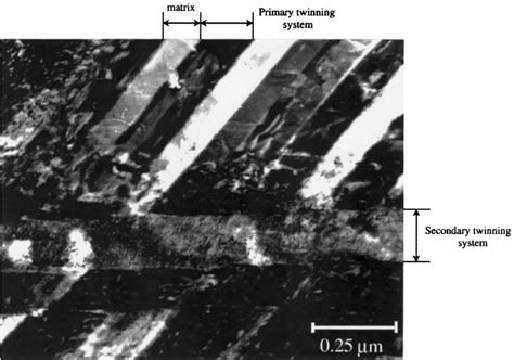 Tem Micrograph Of The 111 Oriented Single Crystal Specimen Deformed