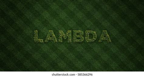 129 Capital Lambda Royalty Free Photos And Stock Images Shutterstock