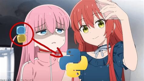 It´s Python R Programmerhumor