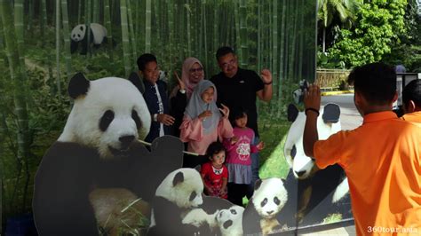 Zoo Negara Malaysia Selangor A Place To Meet The Giant Panda In