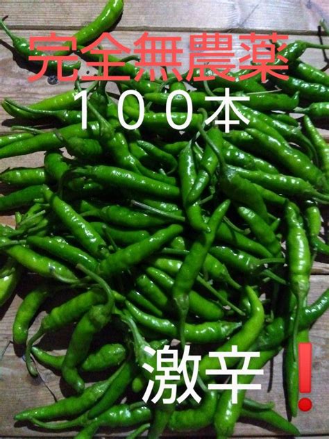 黄金唐辛子 青唐辛子 激辛唐辛子 生青唐辛子 7月13日16時収穫 メルカリ