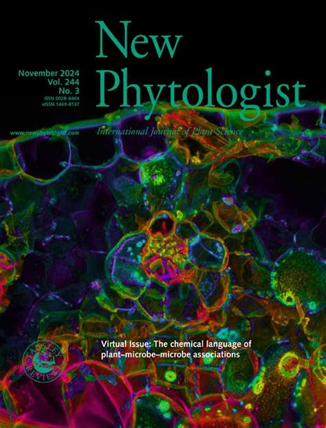 Spatiotemporal Transcriptome Atlas Reveals Gene Regulatory Patterns During The Organogenesis Of