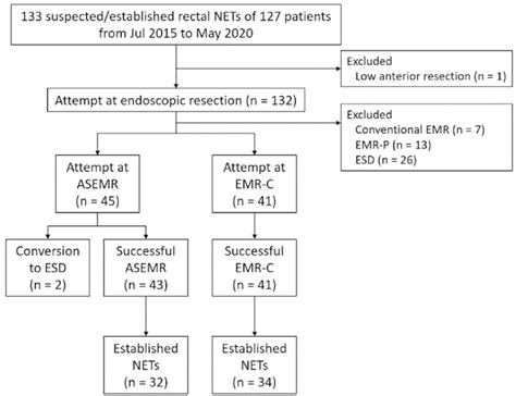 What Is The Meaning Of Patient Throughput At Ruth Tolbert Blog